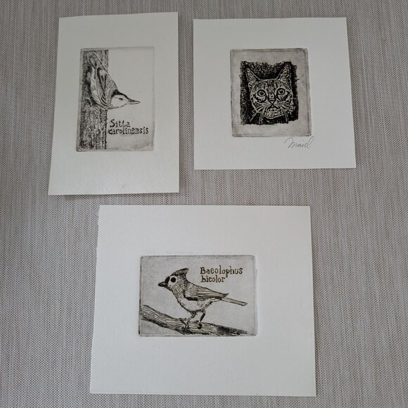 Art | New Set Of 3 Intaglio Prints Birds And Cat Handcrafted Artwork ...